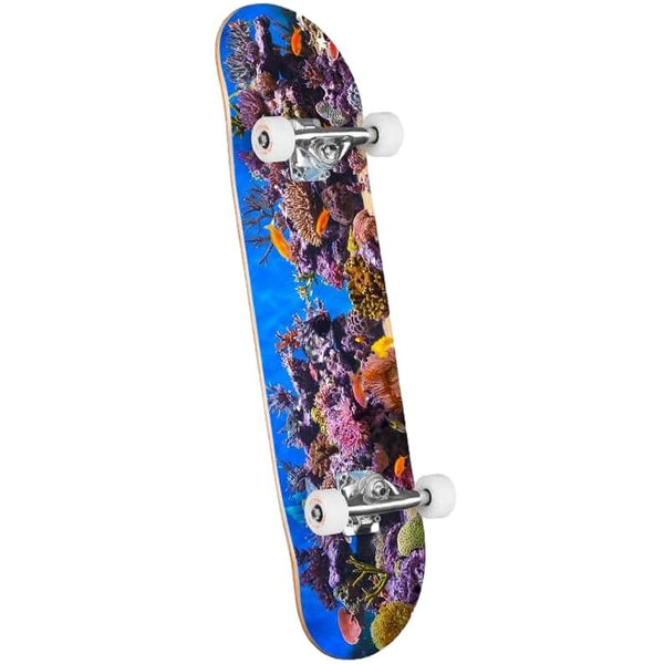 Mini Logo Complete Skateboard Fish Tank 8.0" x 31.45" – Da Klinic ...